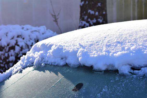 Free Stock Photo of Close Up of Car Hood Covered in Snow | Download ...
