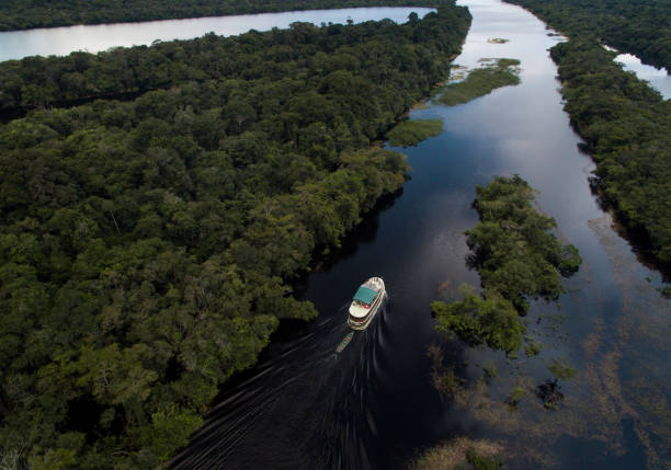 Amazon River Pictures | Download Free Images on Unsplash