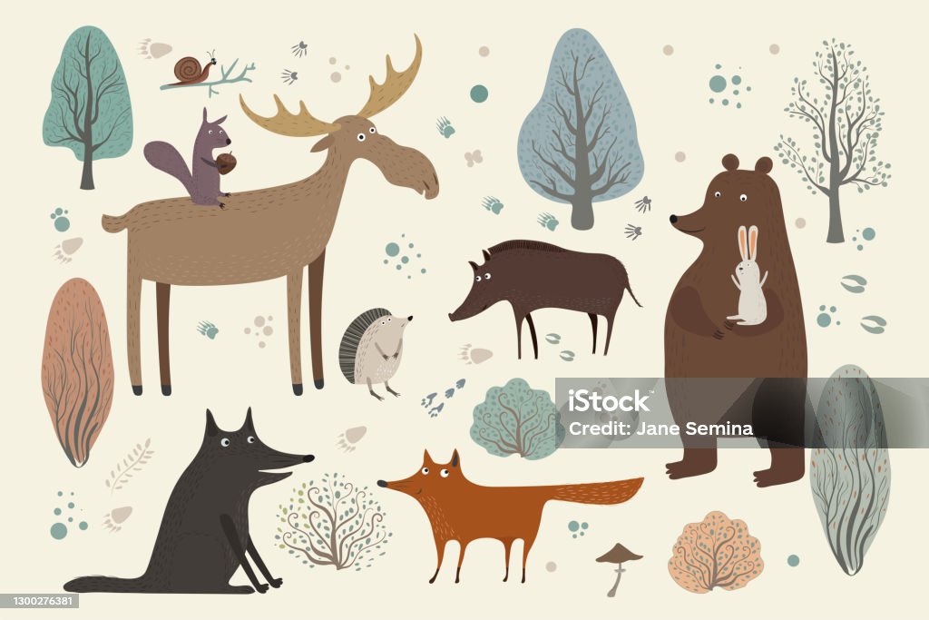 Ensemble Vectoriel Avec Des Animaux De Forêt Dans Le Modèle Dessiné À