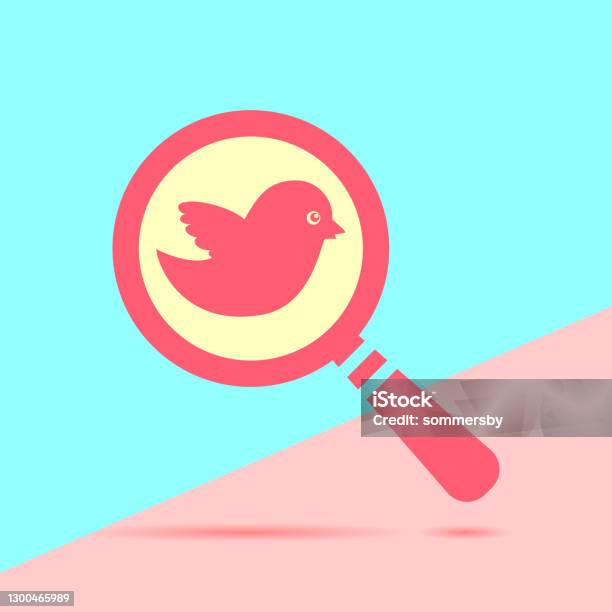 Moderne Flache Rote Flache Lupe Suchsymbol Mit Vogel Mit Schatten Stock ... Moderne Flache Rote Flache Lupe Suchsymbol Mit Vogel Mit Schatten Stock ...