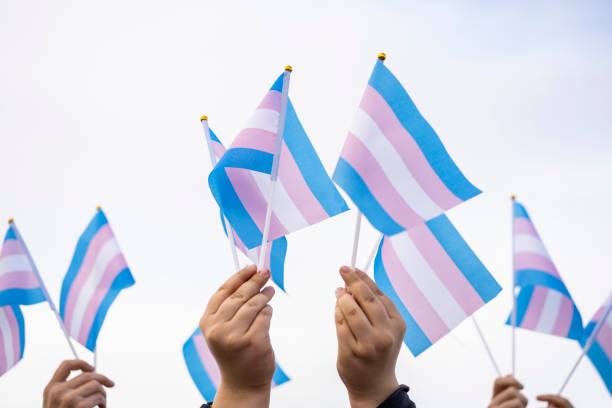 Trans Flag Pictures | Download Free Images on Unsplash