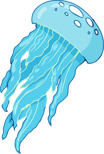 Dessin Animé De Couleur Danimaux Marins Pour Le Web Et La Conception