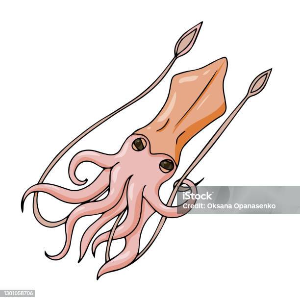 Dessin Animé De Couleur Danimaux Marins Pour Le Web Et La Conception