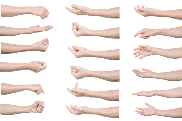 20+ Hand Pictures & Images [HD] | Download Free Photos on Unsplash