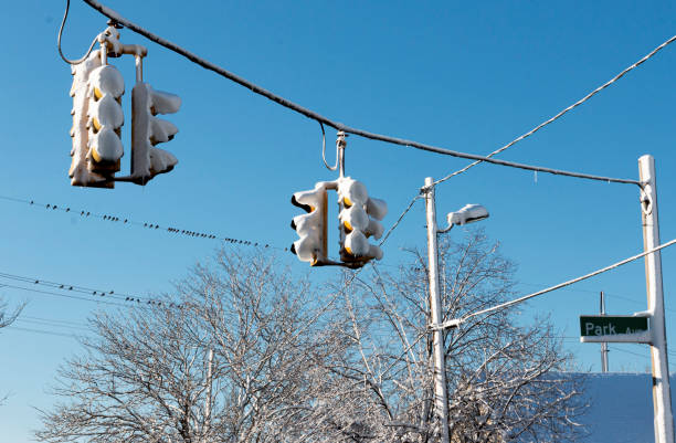 Free Stock Photo of Snowy traffic lights | Download Free Images and ...