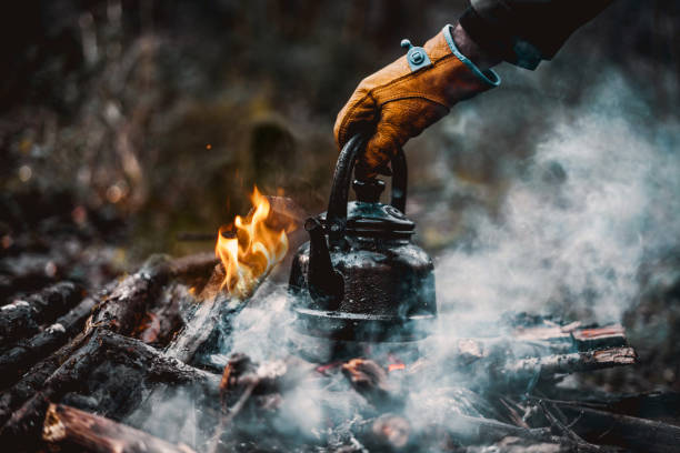 Bushcraft Pictures [HD] | Download Free Images on Unsplash