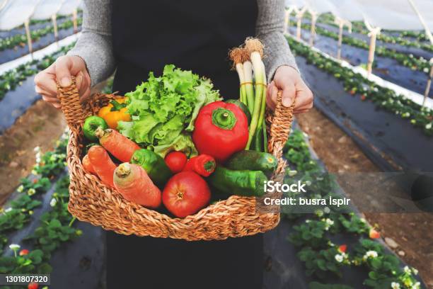 Wanita Petani Memegang Kotak Kayu Penuh Sayuran Mentah Segar Keranjang ... Wanita Petani Memegang Kotak Kayu Penuh Sayuran Mentah Segar Keranjang ...