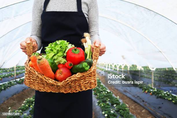 Wanita Petani Memegang Kotak Kayu Penuh Sayuran Mentah Segar Keranjang ... Wanita Petani Memegang Kotak Kayu Penuh Sayuran Mentah Segar Keranjang ...