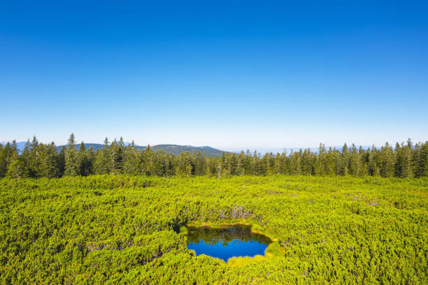 Small Lake Pictures | Download Free Images on Unsplash