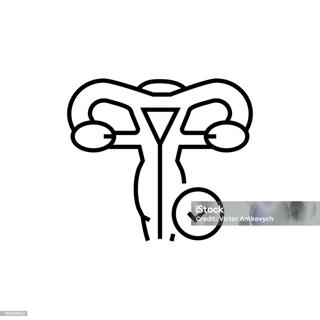 Ilustración De Icono Del Sistema Reproductivo Femenino Ilustración De