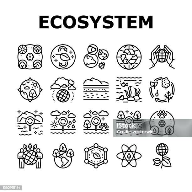 Ecosystem Environment Collection Icons Set Vector Stock Illustration