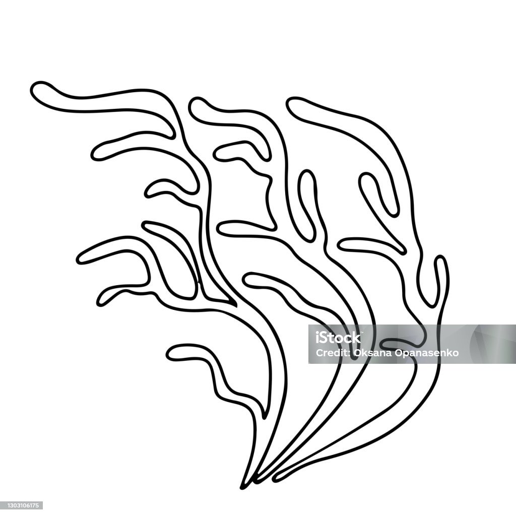 Ensemble Dalgues De Lherbe À Eau Livre De Coloriage À Main Levée
