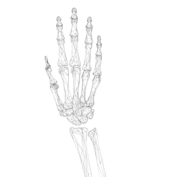 220 Dessins De Tatouage Au Poignet Stock Illustrations Graphiques