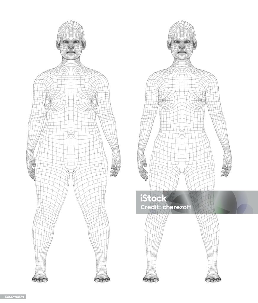 Fat And Slim Woman Before And After Weight Loss Stock Illustration