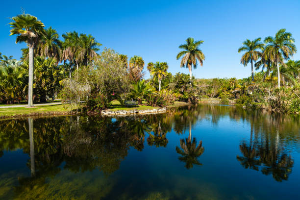 Botanical Garden Pictures | Download Free Images on Unsplash