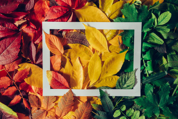 1K+ Color Changing Pictures | Download Free Images on Unsplash