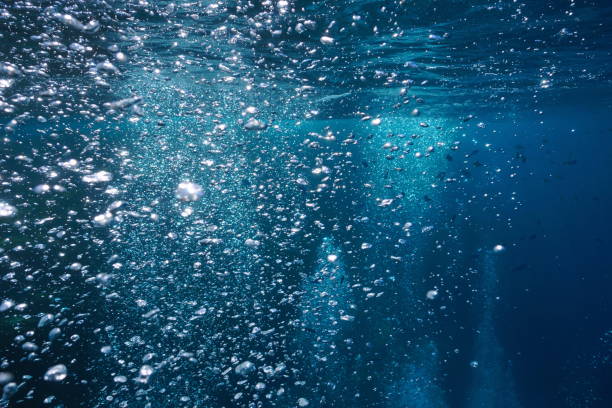 Free Stock Photo of Underwater view with bubbles and water particles ...