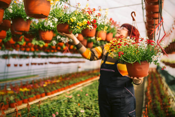 1K+ Flower Basket Pictures | Download Free Images on Unsplash
