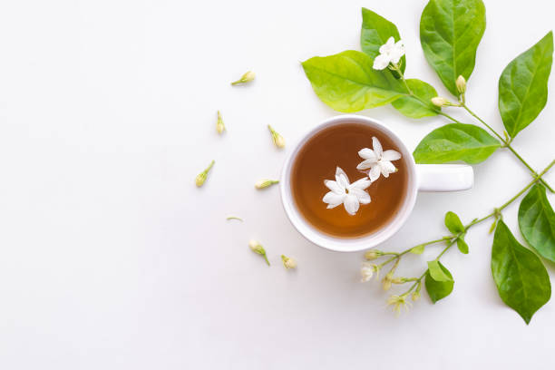 Free Stock Photo of Jasmine Tea | Download Free Images and Free ...