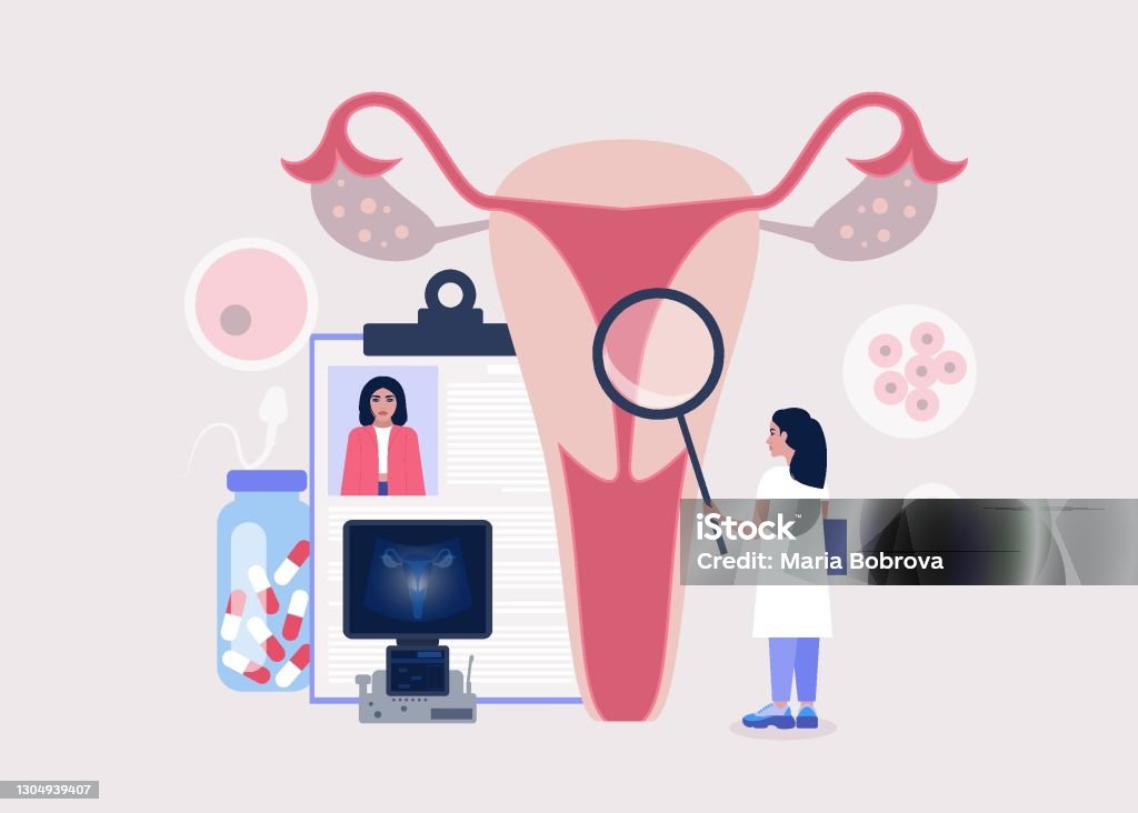 Gynecology Stock Illustration Download Image Now Adult Analyzing
