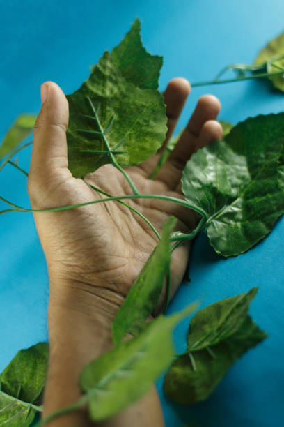 Free Stock Photo of Hand behind tropical vines | Download Free Images ...