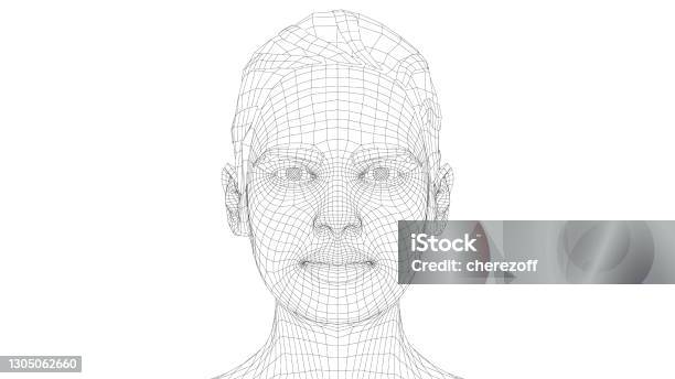 Verticale De Wireframe Dune Jeune Belle Fille Vecteurs Libres De Droits Et Plus Dimages