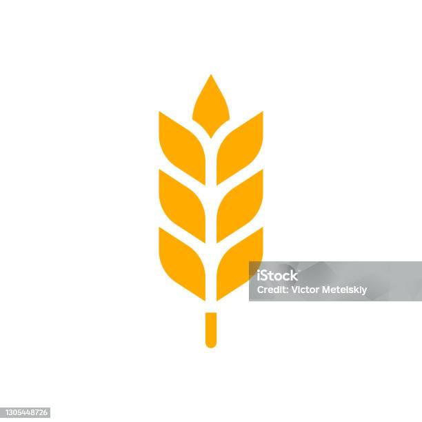 Icône De Blé Ou Dorge Symbole De Grain Illustration Vectorielle