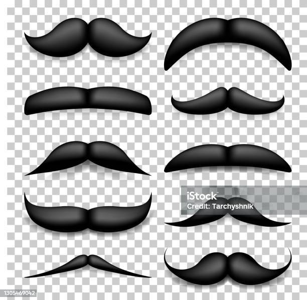 Kumis Pada Latar Belakang Transparan Kumis Vintage Vektor Hitam Rambut ... Kumis Pada Latar Belakang Transparan Kumis Vintage Vektor Hitam Rambut ...