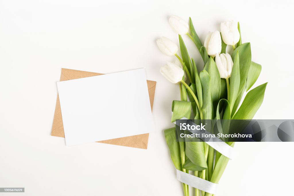 Bunga Tulip Putih Potong Segar Dan Kartu Kosong Dengan Tampilan Atas ... Bunga Tulip Putih Potong Segar Dan Kartu Kosong Dengan Tampilan Atas ...