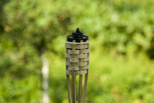 Torches Pictures | Download Free Images on Unsplash