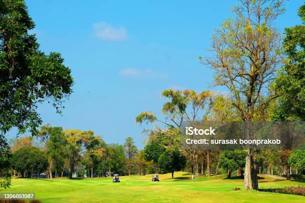 Lanskap Lapangan Golf Dengan Pepohonan Hijau Di Bawah Langit Biru 3 ... Lanskap Lapangan Golf Dengan Pepohonan Hijau Di Bawah Langit Biru 3 ...