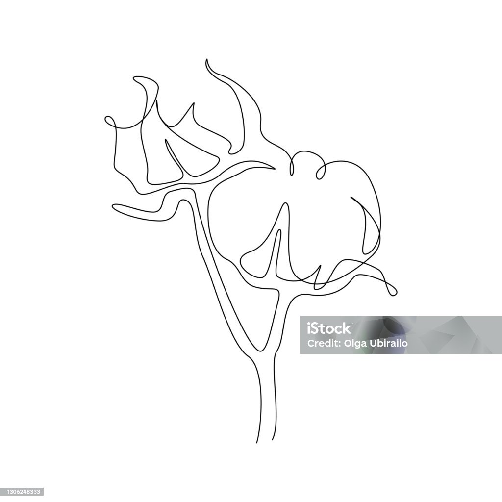 Cotton Flower Continuous One Line Drawing Minimalist Fiber Flower For