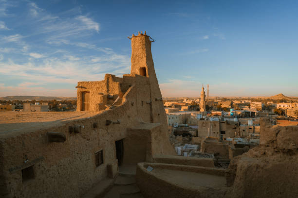Siwa Pictures | Download Free Images on Unsplash