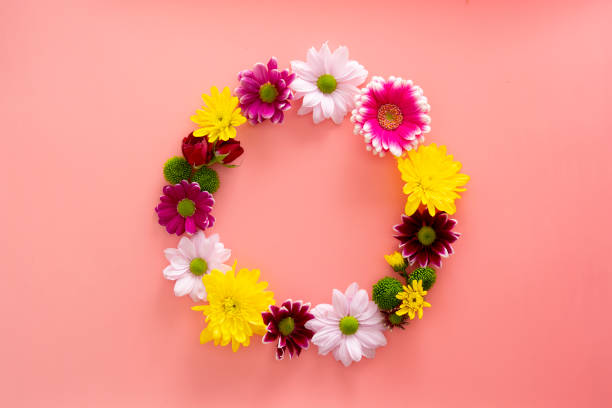 Round Flower Pictures | Download Free Images on Unsplash