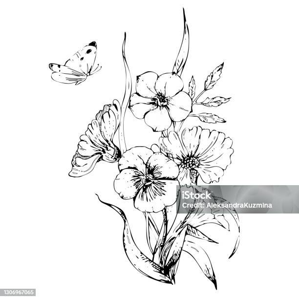 Ornement Floral Dencre Dessiné À La Main Avec Le Pétunia De Fleurs Et