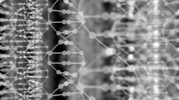 760+ Gene Inheritance Stock Photos, Pictures & Royalty-Free Images - iStock 760+ Gene Inheritance Stock Photos, Pictures & Royalty-Free Images - iStock