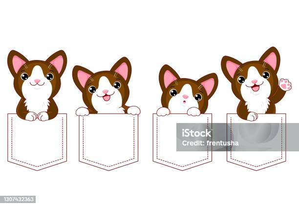 Ensemble Mignon De Poche Danimaux De Dessin Animé Vecteurs Libres De