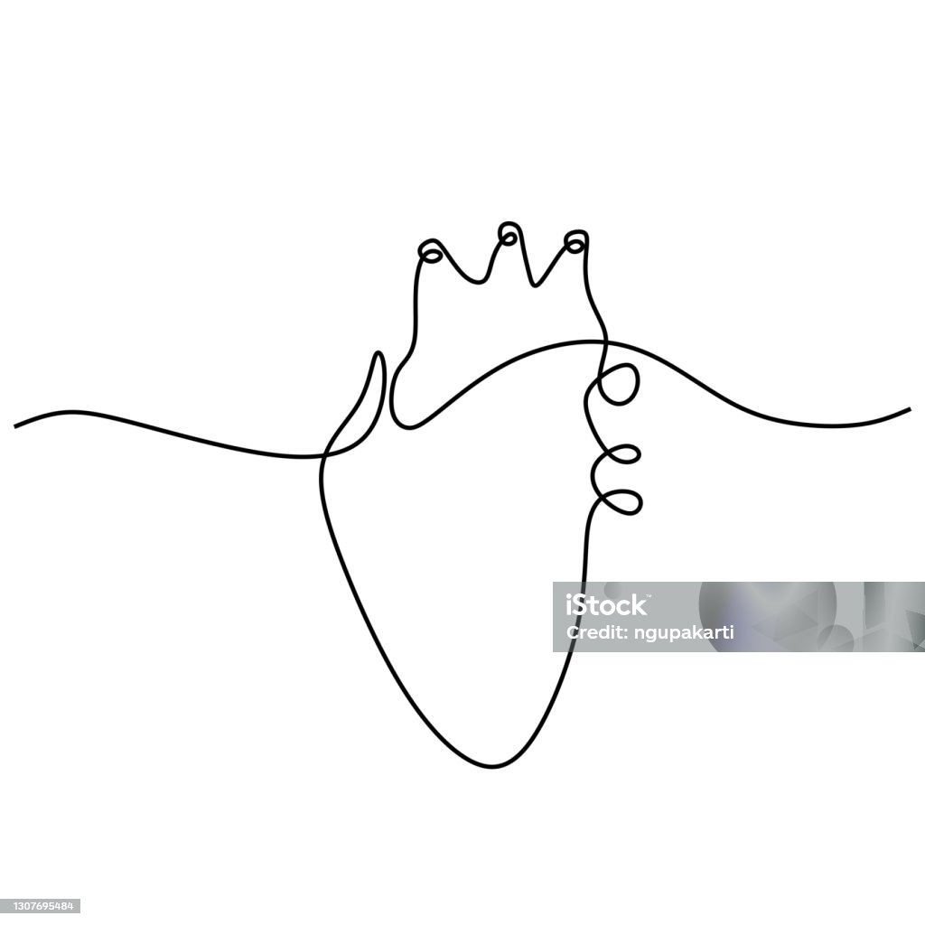 Coeur Humain Anatomique Dart De Ligne Continue Simple Dessin Continu De