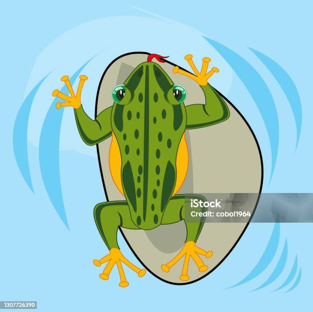 Katak Amfibi Reptil Dalam Jenis Air Secara Berlebihan Ilustrasi Stok