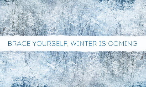Winter Is Coming Pictures | Download Free Images on Unsplash