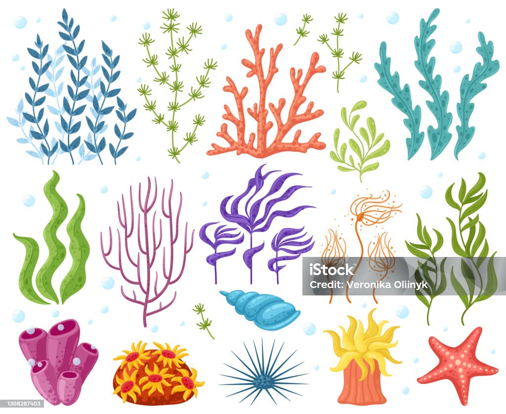 Kartun Tanaman Laut Anemon Karang Dan Rumput Laut Kelp Laut Tanaman ... Kartun Tanaman Laut Anemon Karang Dan Rumput Laut Kelp Laut Tanaman ...