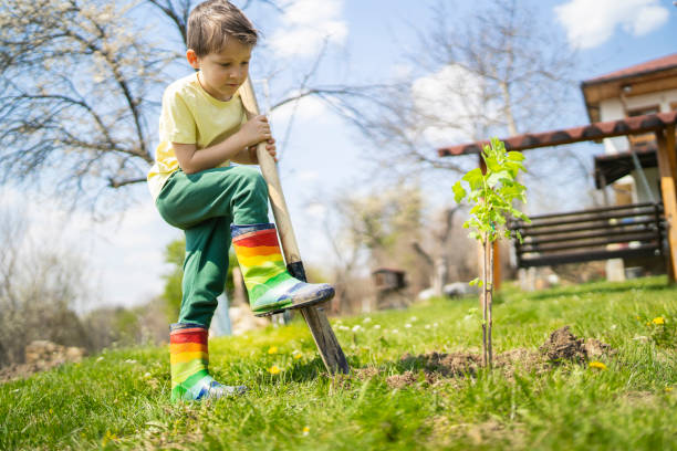 Free Stock Photo of Child joyfully planting trees by the window ...