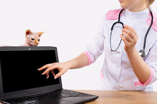 Foto Yang Dipotong Dari Blogger Dokter Hewan Dengan Mantel Putih Yang ... Foto Yang Dipotong Dari Blogger Dokter Hewan Dengan Mantel Putih Yang ...