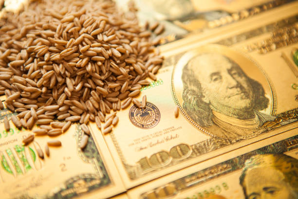 3,000+ Wheat Trading Stock Photos, Pictures & Royalty-Free Images - iStock 3,000+ Wheat Trading Stock Photos, Pictures & Royalty-Free Images - iStock
