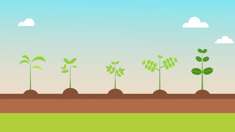 Download Free Motion Graphics Animated Backgrounds & Animations Download Free Motion Graphics Animated Backgrounds & Animations