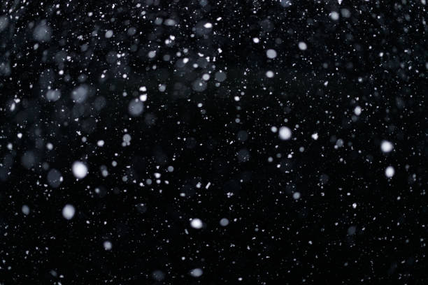 150+ Snow free images
