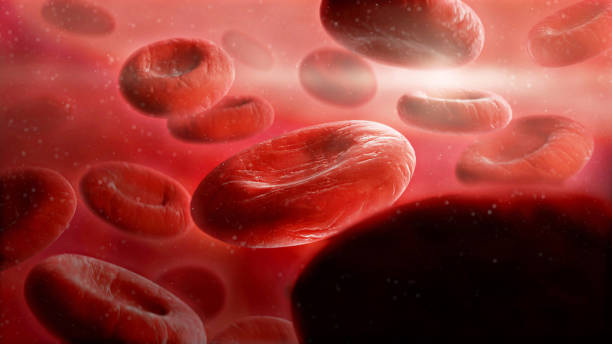 Blood Cells Pictures | Download Free Images on Unsplash