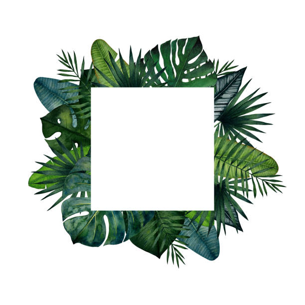 80 Luau Border Background Illustrations Royalty Free Vector Graphics