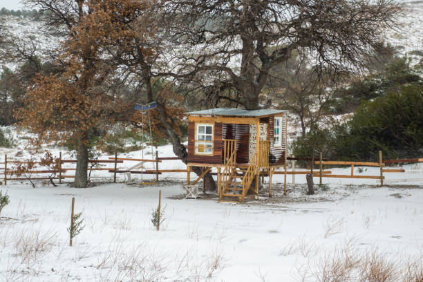 Free Stock Photo of Treehouse in the Snow | Download Free Images and ...