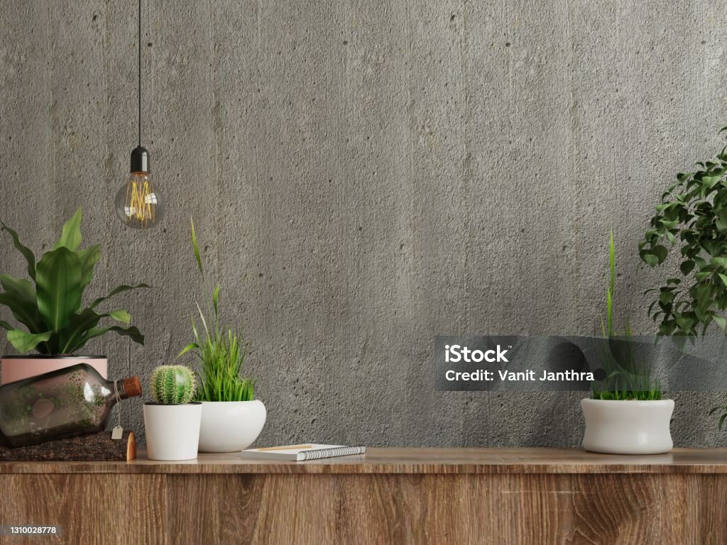 Mockup Dinding Beton Dengan Tanaman Hias Dan Item Dekorasi Pada Kayu